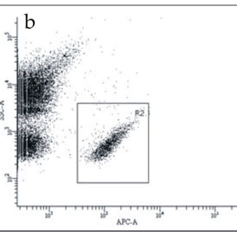 Flow Cytometry Diagrams Of Whole Blood Samples After Erythrocyte Lysis