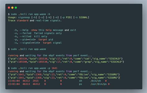 eunomia bpf the lightweight development framework for ebpf and