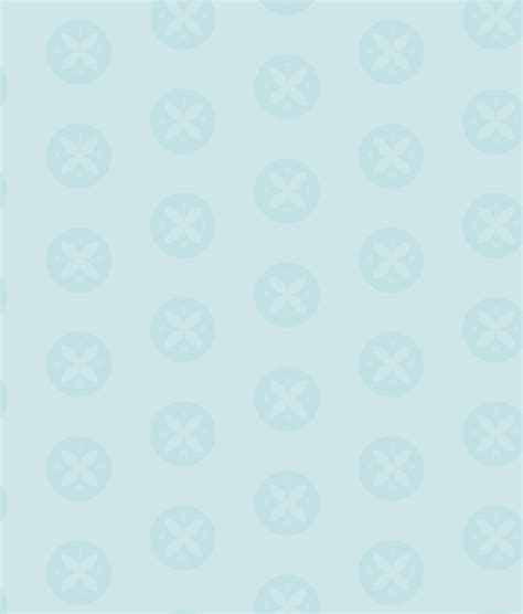 What Is A Biophysical Profile Test In Pregnancy — 4th Trimester