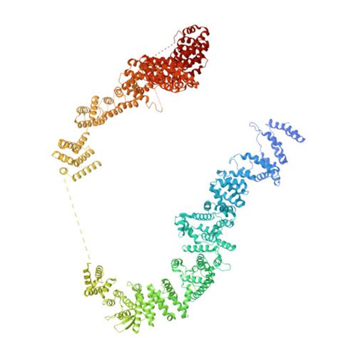 Rcsb Pdb 8rc4 Structure Of Integrator Pp2a Complex