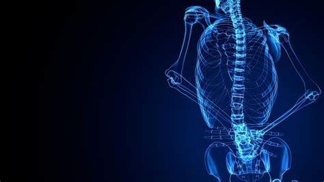Premium Photo A Blue And Black Image Of A Skeleton With A Blue Background