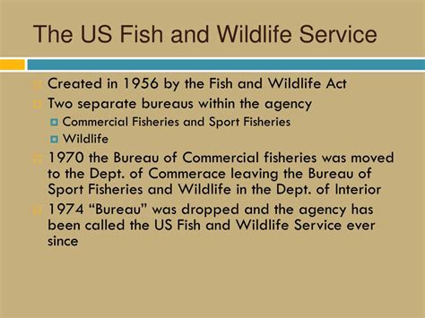 Ppt The Administration Of Wildlife Management Powerpoint Presentation