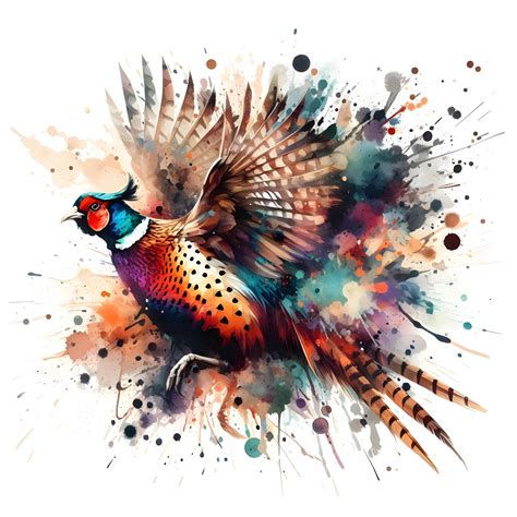 Watercolor Pheasant Clipart Bundle Rustic Bird  Files Digital