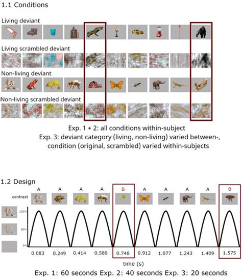 Brain Sciences Free Full Text The Development Of Global Level Categorization Frequency