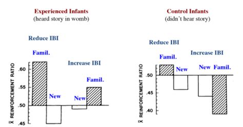 Infancy And Brain Development Flashcards Quizlet