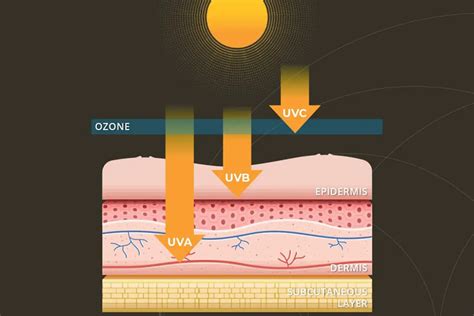 Understanding The Difference Between Uva Uvb And Uvc Rays Unitop