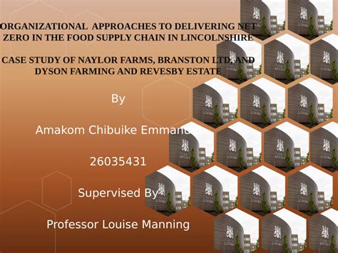 Pdf Organizational Approaches To Delivering Net Zero