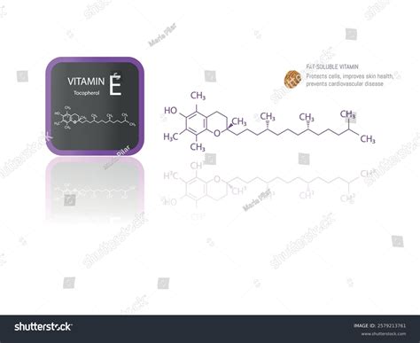 Illustration Molecular Structure Vitamin E Tocopherol Stock Vector