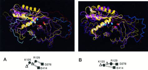 Identification Of The Antithrombin Iii Heparin Binding Site Journal