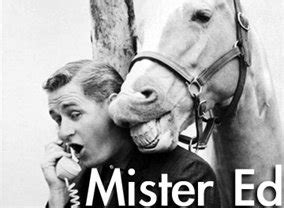 Mister Ed Tv Show Air Dates And Track Episodes Next Episode