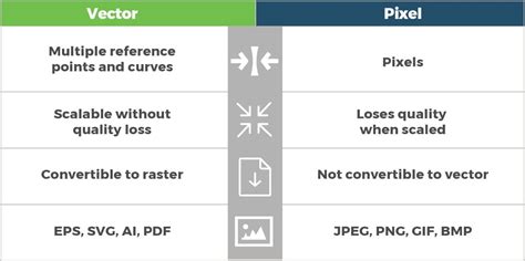 Vector Vs Pixel Which Is Best For Your Graphic Project