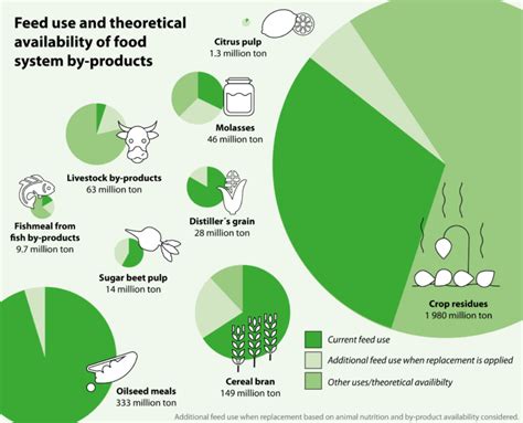 Turning By Products Into Fodder Could Feed One Billion People Beijer