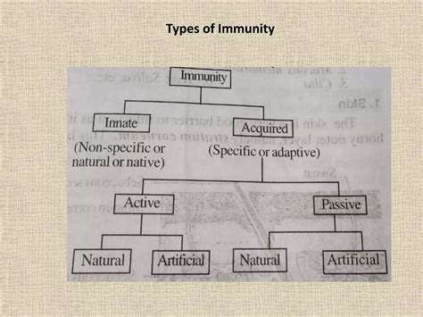 Immunity And Their Types Pptx