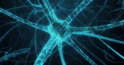 Synapse In Neuron Cell Of Neuronal Human Tissue 36556689 Stock Video At