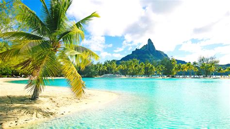 Bora Bora Beach Desktop Wallpaper 26 573 Bora Bora Beach Royalty Free