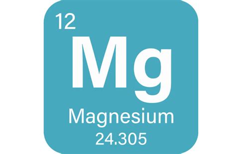 Magnesium Your Bodys Quiet Warrior A Deep Dive Microbio Health™