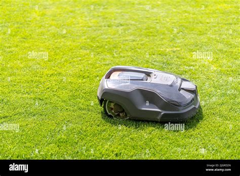 The Automatic Grass Cutting Machine In A Garden Robot Lawn Mower On