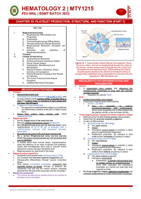 1 Platelet Hematology 2 Mty121 5 Feu Mnl Bsmt Batch 2023 Studocu
