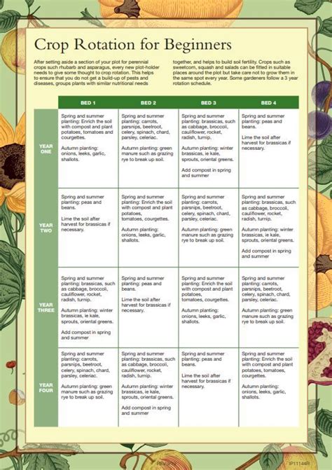 Crop Rotation Schedule For Beginners