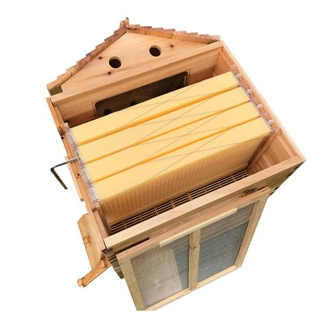 Auto Flow Beehive With 7 Frames For Apiary Beehive Beesvision