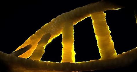 Expanded Genetic Alphabet Rewrites Life Album On Imgur