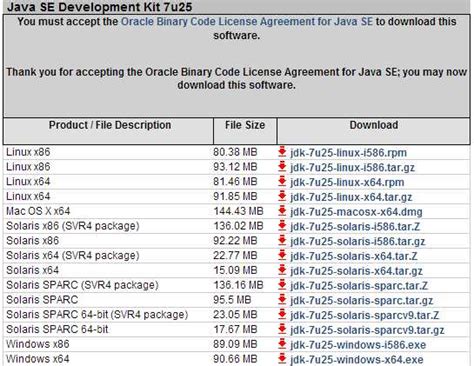 Java Se Downloads Lulanature