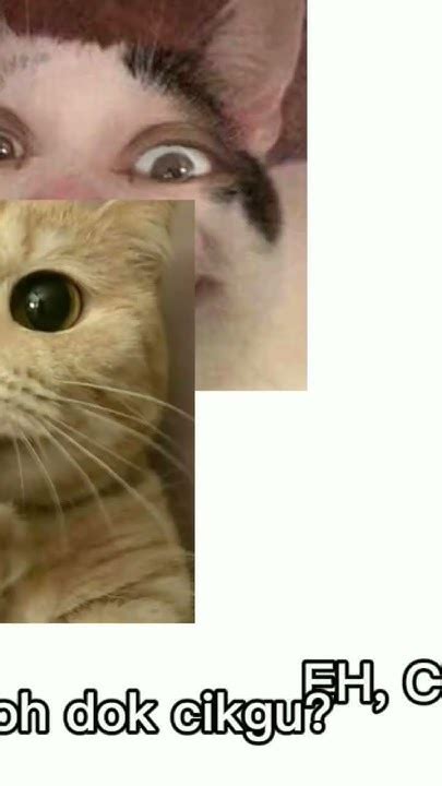 Esok Koloh Dok Cikgumemecupcut Youtube