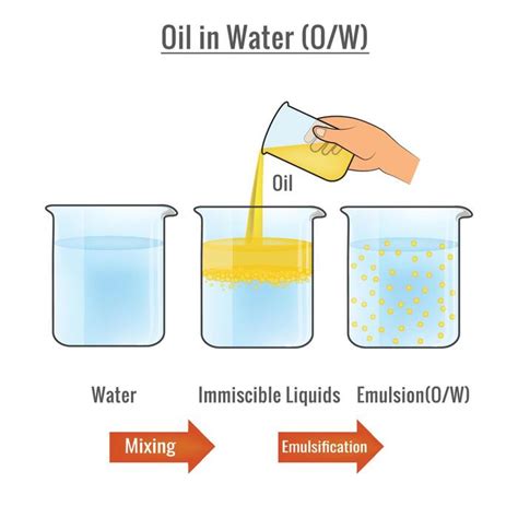 Page 3 Emulsion Vector Art Icons And Graphics For Free Download