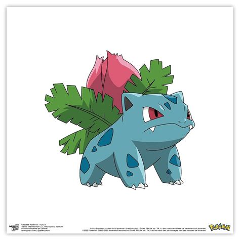 Ivysaur Drawing