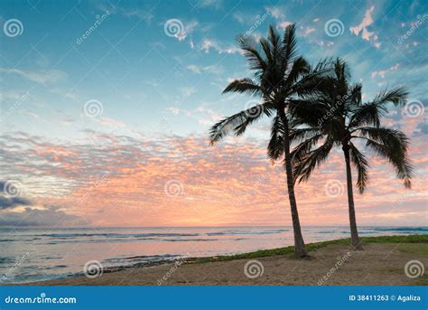 Beautiful Sunset With Two Palm Trees Over The Ocean Horizon Stock Image