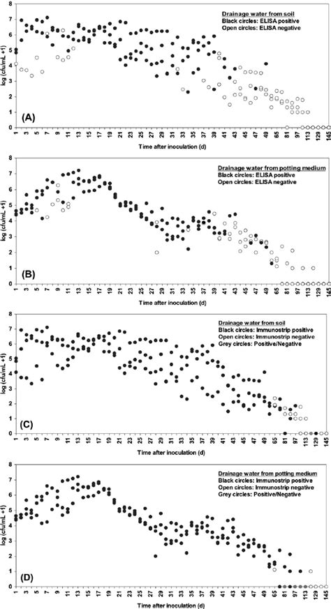 Evaluation Of Sensitivity Of Detection Of Ralstonia Solanacearum Race 4 Download Scientific