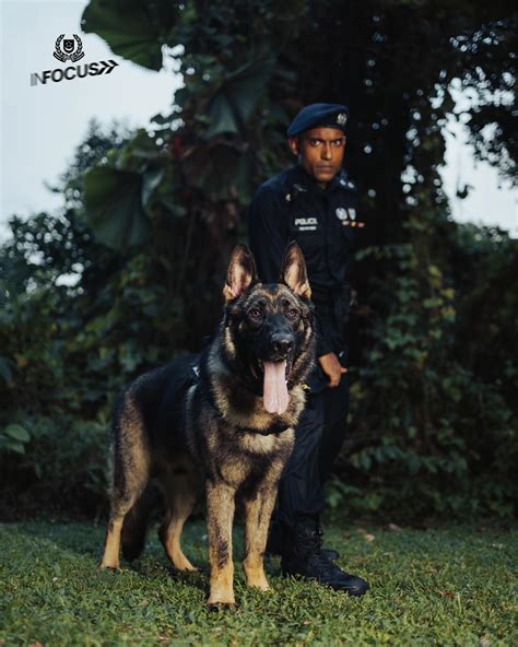 Spf Police Life In Focus K 9 Unit
