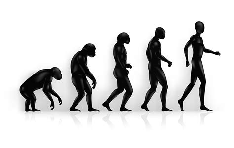 Human Evolution Wallpapers Top Free Human Evolution Backgrounds