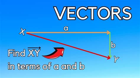 Igcse Vectors The Ultimate Guide For Beginners Youtube
