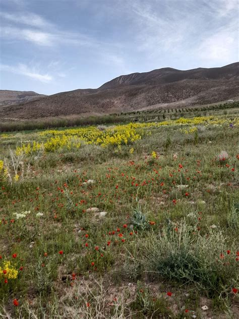 فروش ۳۴۲ م زمین با انشعابات گرمابسرد دماوند گرم آبسرد در دماوند ۱۶ مرداد ۱۴۰۳