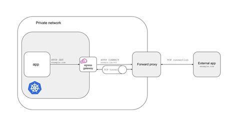 dynamic setting value of tcpproxy tunneling config hostname · issue