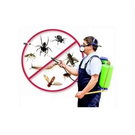 Pest Management Service At ₹ 5sq Ft In Mumbai Id 2851577847088