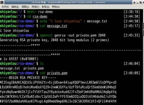 RSA算法加解密实验 蓝桥云课