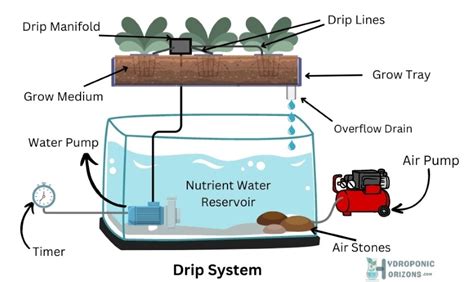 What Is Drip System Hydroponics And How Does It Work