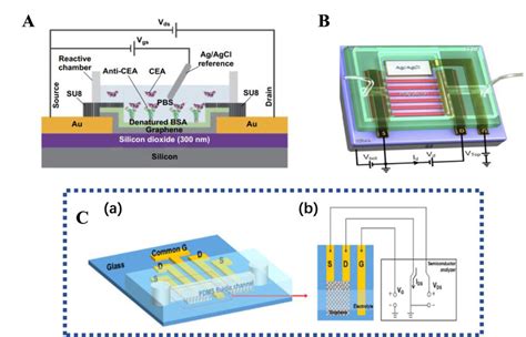 A Schematic Representation Of The Solution Gate Fet Biosensor