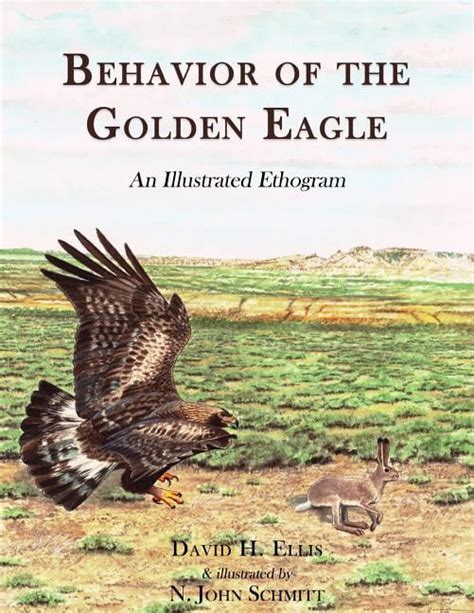 Behavior Of The Golden Eagle An Illustrated Ethogram Paperback