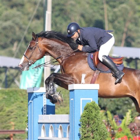 Setembro 27 2022 Centro Hípico Do Porto E Matosinhos