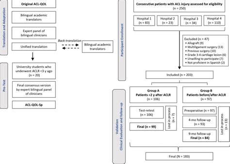 Study Outline And Patient Flow Diagram Acl Anterior Cruciate