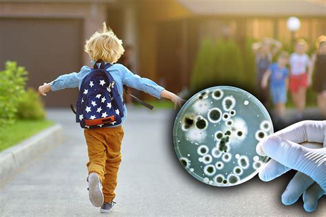 Anunț Important Pentru Copii și Părinți înaintea începerii Anului școlar Unde Se Pot Infecta