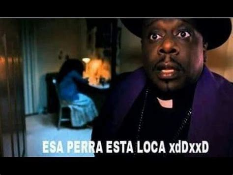 Ella Esta Loca Meme Esa Perra Está Loca Eyacula