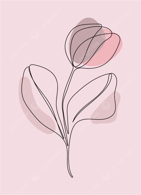 식물 꽃 라인 붓 최소한의 식물 윤곽 덮개 Png 일러스트 및 벡터 에 대한 무료 다운로드 Pngtree