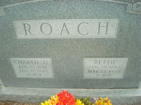 Sylvia Rettie Walker Roach 1884 1955 Homenaje De Find A Grave