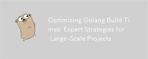 優化 golang 建置時間：大型專案的專家策略 golang php中文網