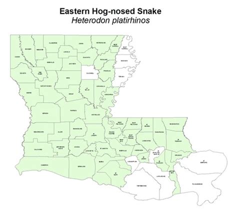Eastern Hognose Snake Range Map Eastern Hog Nosed Snake Heterodon
