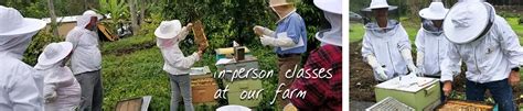 About Beekeeping Made Simple How I Started Beekeeping